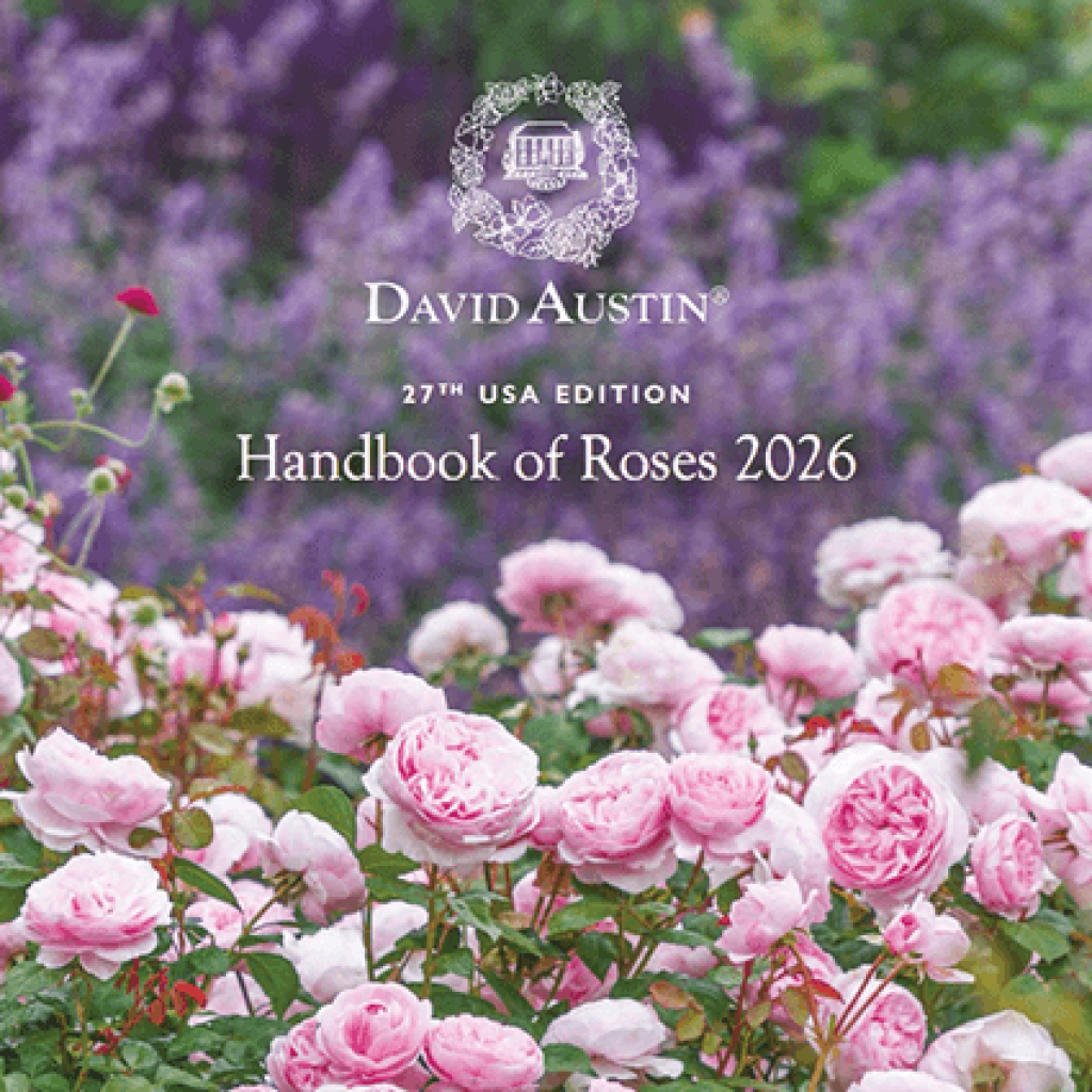 Free 2026 David Austin Handbook of Roses - Deals Finders